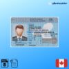 Ontario Drivers License Template