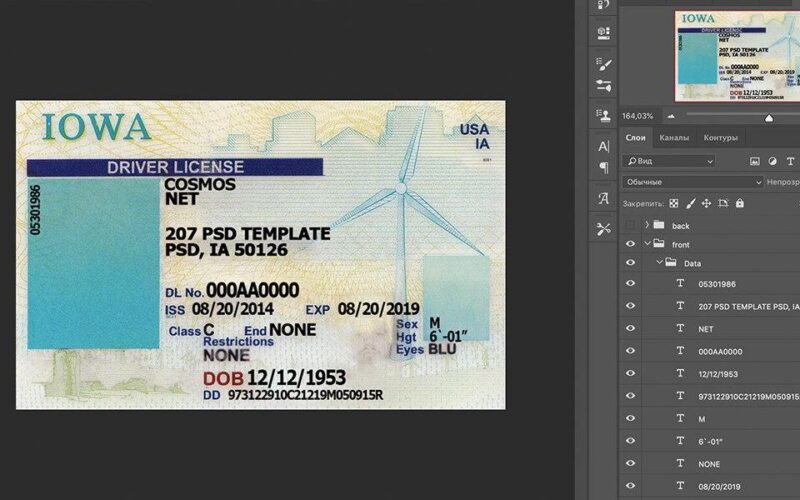 Iowa Drivers License Template