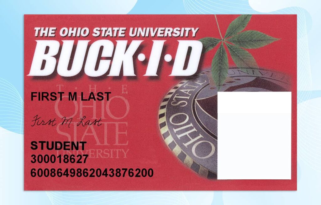 Ohio State University ID Template PSD