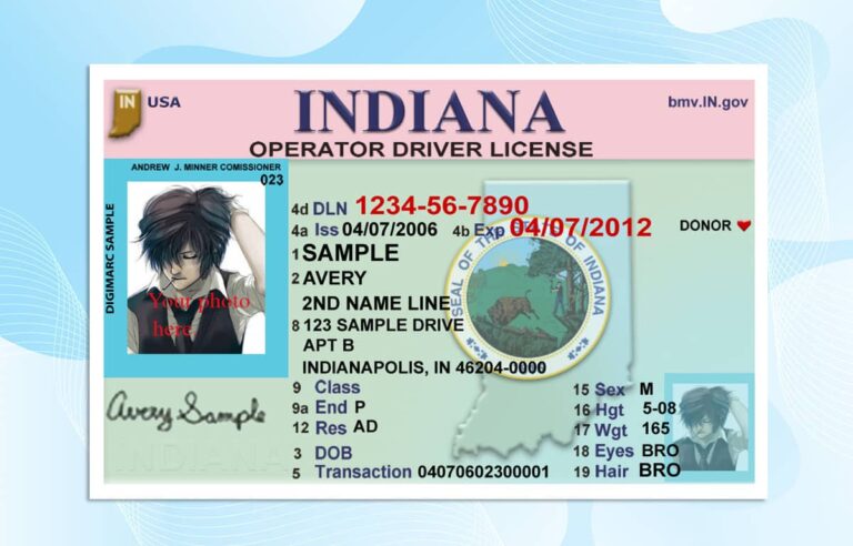 Free Fake ID Templates